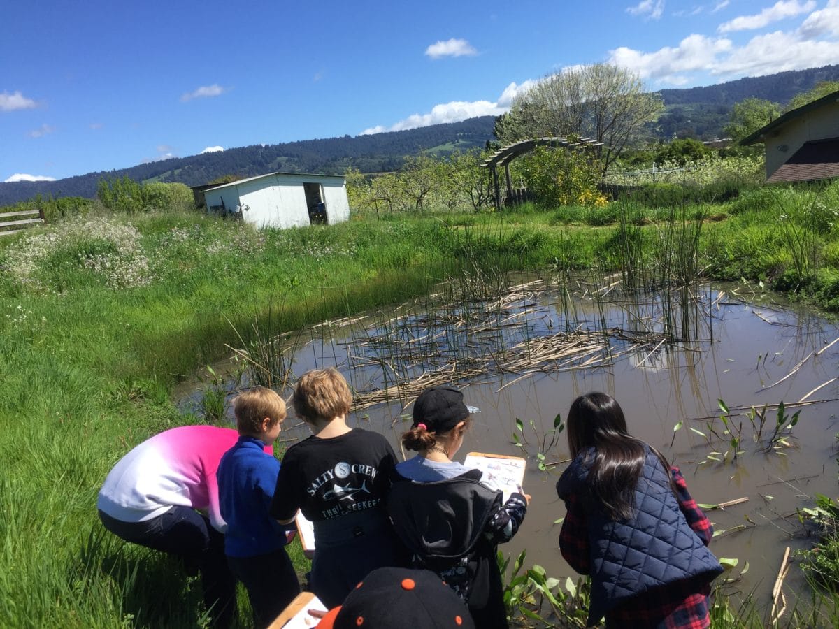 Springtime Field Trips – Farm Discovery