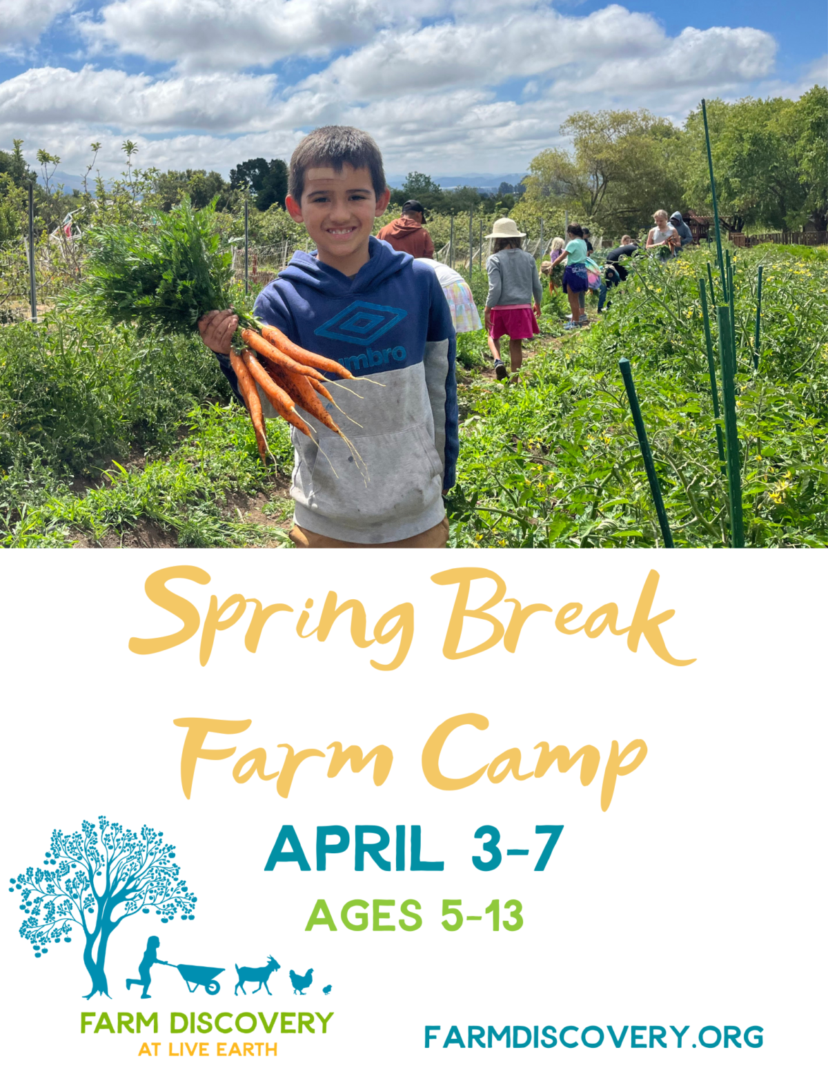 NEW- Spring Break Camp – Farm Discovery