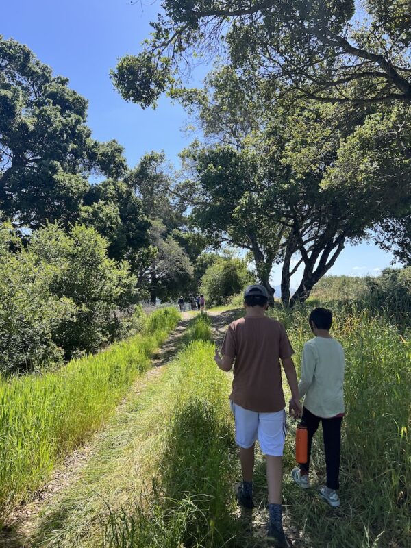 Immersed in the Seasons of the Farm – Farm Discovery