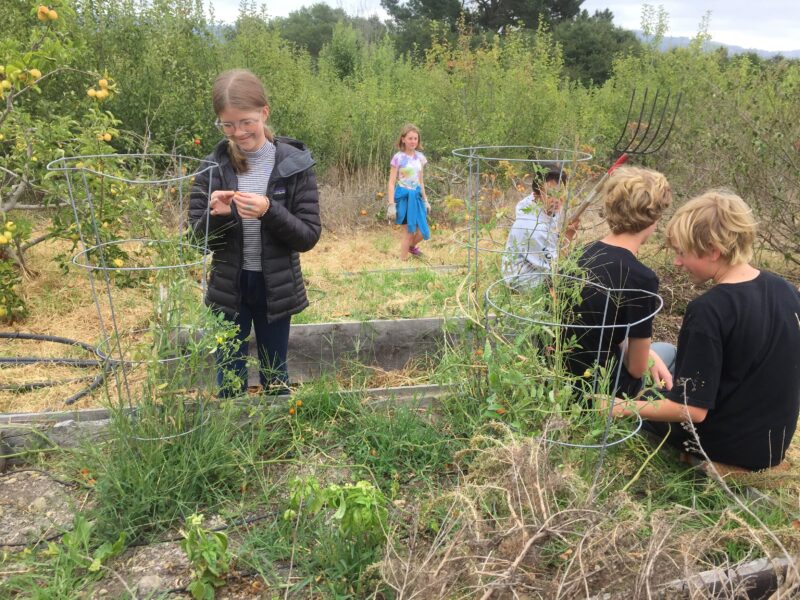 Field Trips – Farm Discovery