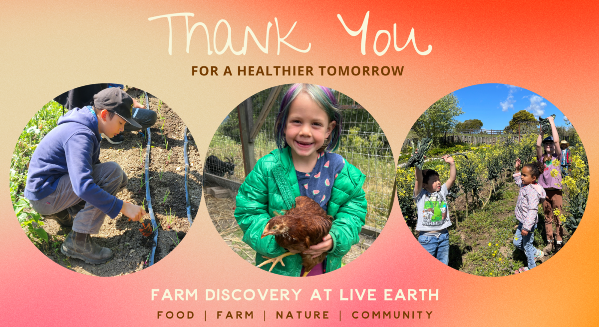 Support Farm Discovery through Santa Cruz Gives 2023 – Farm Discovery