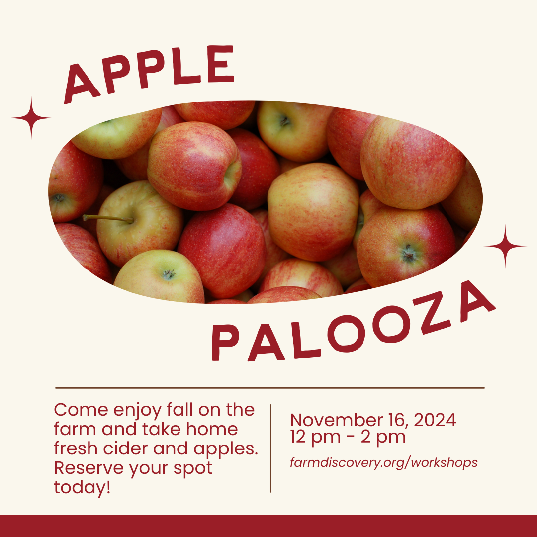 Apple-Palooza – Farm Discovery